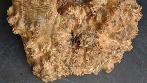 Denver Wood Slabs : Wood Slab Inventory & Custom Fabrication